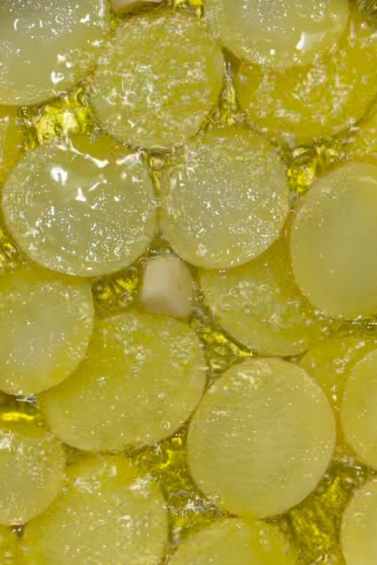 Pesce Capone o Lampuga al forno: scopri la ricetta perfetta.